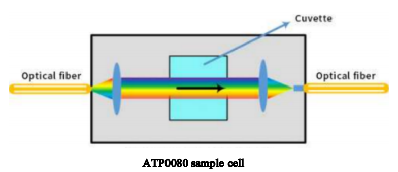 Deuterium-Halogen Light Source